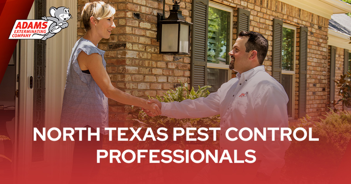 Fort Worth, TX Pest Control | Pest Extermination in North Texas