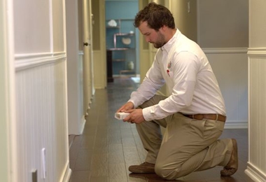 North Texas Pest Control Professionals | DFW Exterminating