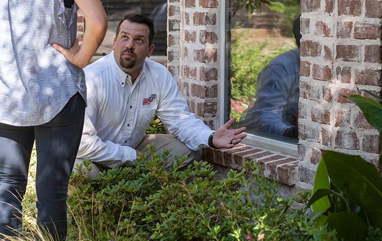 Termite Control Lewisville, Denton & Dallas-Fort Worth, TX